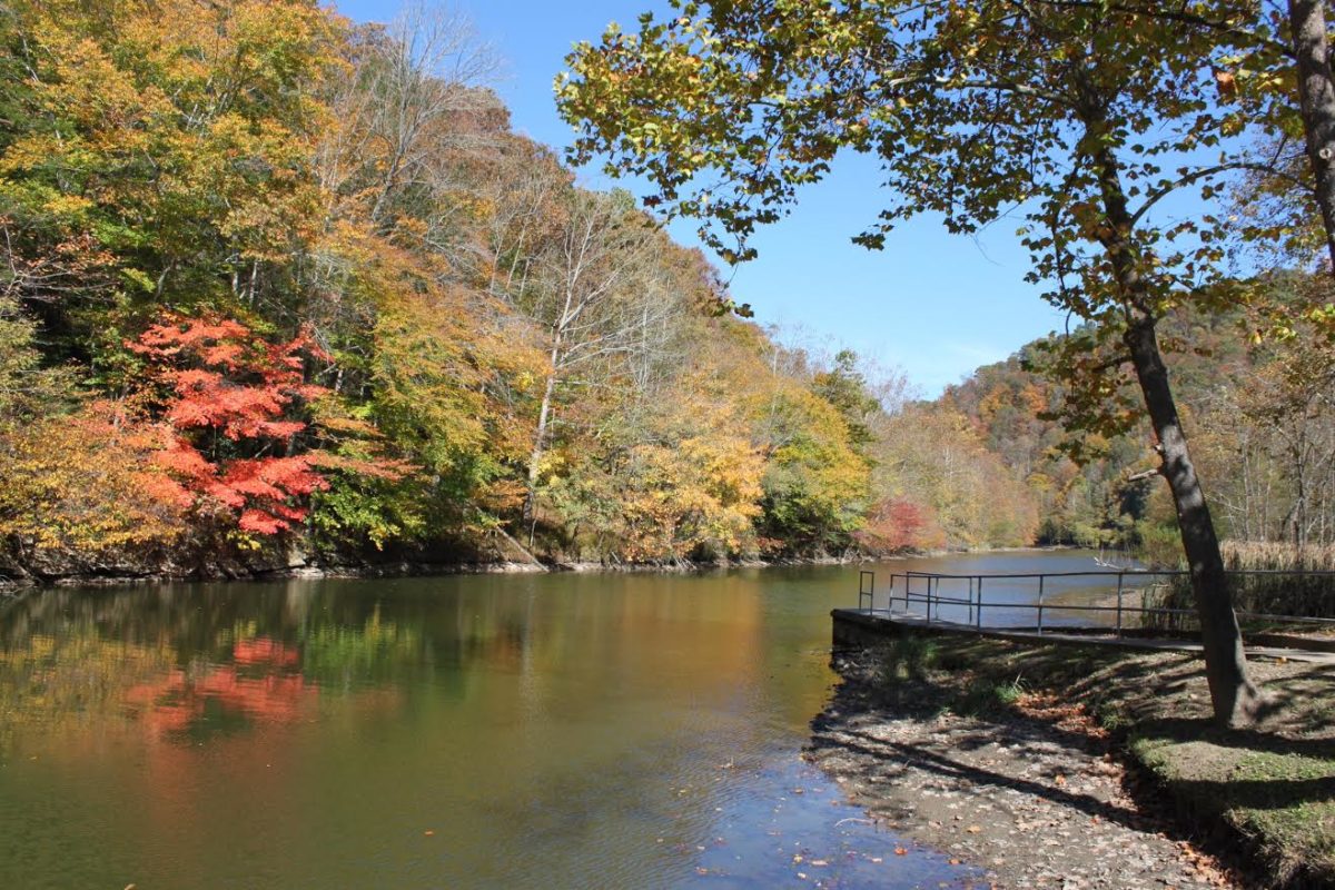 37.212051 -82.376259, Clintwood